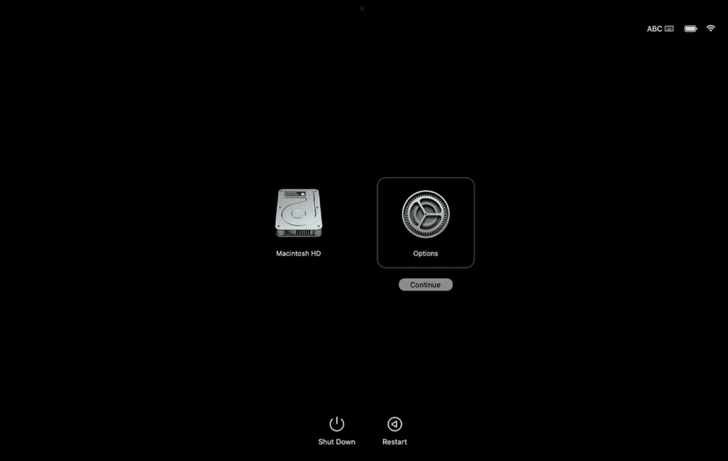How to Start up From macOS Recovery? - GeeksforGeeks