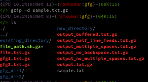 How to Use Gzip and Keep Original File in Linux? - GeeksforGeeks