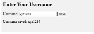 How to Create a Textfield to Enter a Username and Save it on a Website ...