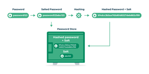 What Is Password Salting and How Does It Work? - GeeksforGeeks