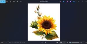 How to Fix "ModuleNotFoundError: No Module Named 'PIL'" in Python ...
