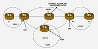 Open Shortest Path First (OSPF) Router Roles and Configuration ...