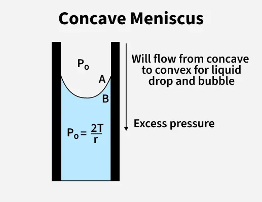 Capillary Action - GeeksforGeeks