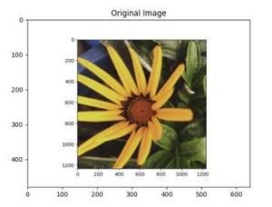 OpenCV Python Program to analyze an image using Histogram - GeeksforGeeks