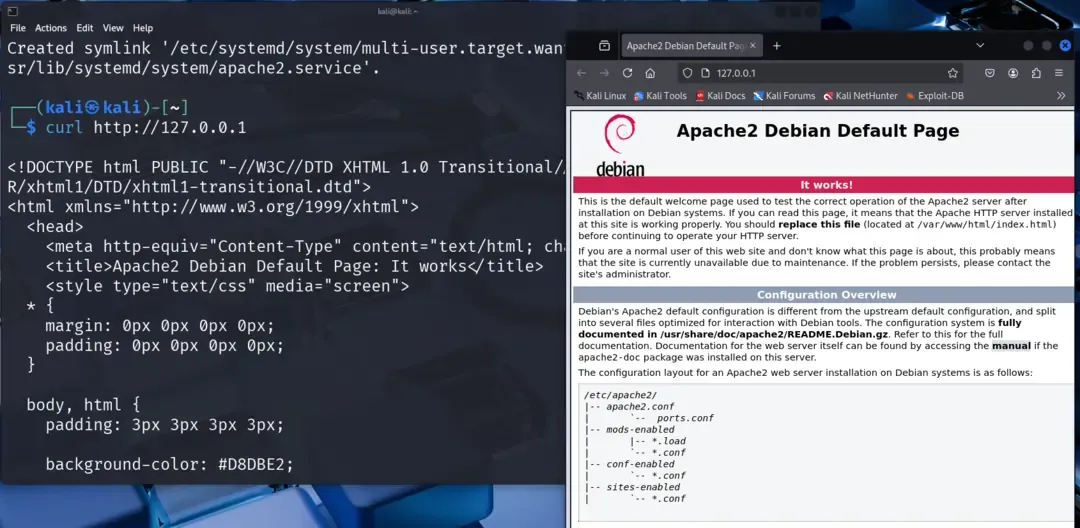 Network Traffic Analysis lab: Client and Server - GeeksforGeeks
