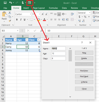 Create a Data Entry Form in Excel - GeeksforGeeks