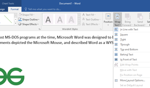 Images and Charts Captions in MS Word - GeeksforGeeks