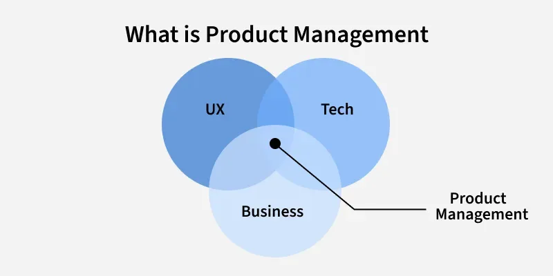 Product-Management Archives - GeeksforGeeks