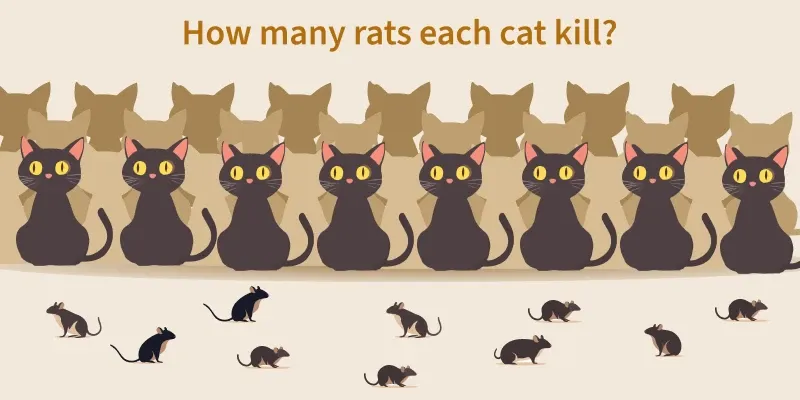 Puzzle | Cat and Rat - GeeksforGeeks