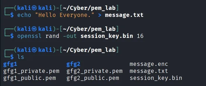 Privacy Enhanced Mail (PEM) - GeeksforGeeks