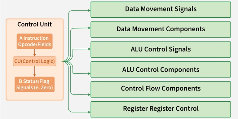 Control Signal: Types and Role - GeeksforGeeks