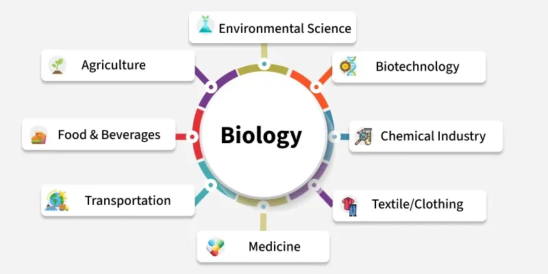 Real-Life Applications of Biology - GeeksforGeeks