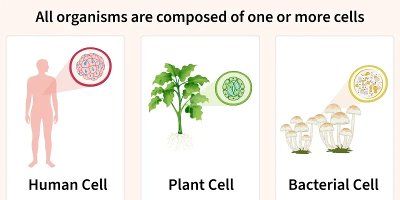cell theory examples