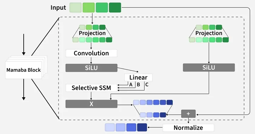 What is a Mamba model - GeeksforGeeks
