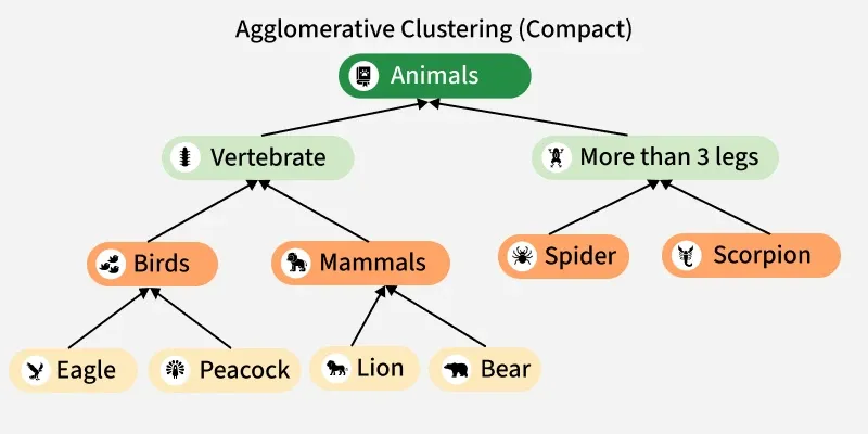 Agglomerative Clustering - GeeksforGeeks