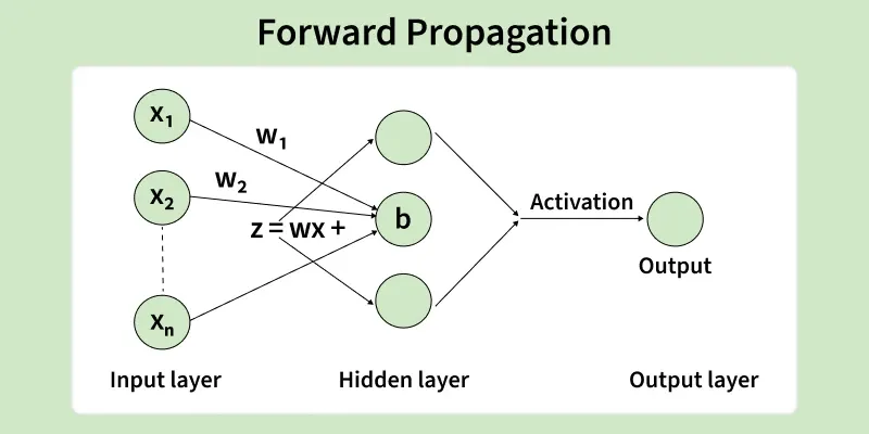 What is Forward Propagation in Neural Networks - GeeksforGeeks