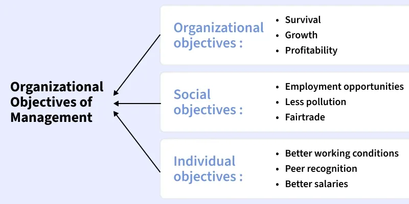 Management - GeeksforGeeks