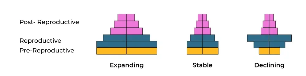 Population Ecology - GeeksforGeeks