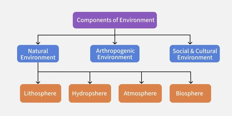 Environment vs Ecosystem - GeeksforGeeks
