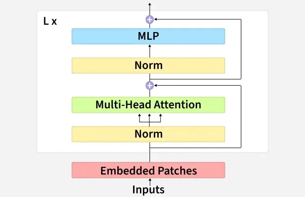 Vision Transformer (ViT) Architecture - GeeksforGeeks