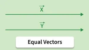 Types of Vectors - GeeksforGeeks