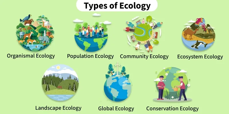 Ecology - GeeksforGeeks