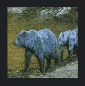 Python PIL | Image.resize() method - GeeksforGeeks