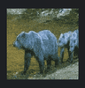 Python PIL | Image.resize() method - GeeksforGeeks