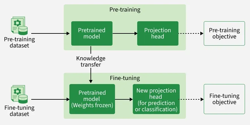 What is Pre Training and its Objective - GeeksforGeeks