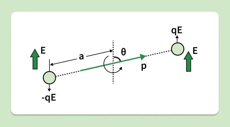Electric Dipole - GeeksforGeeks