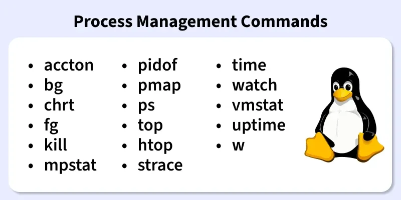 Process Management Commands in Linux - GeeksforGeeks