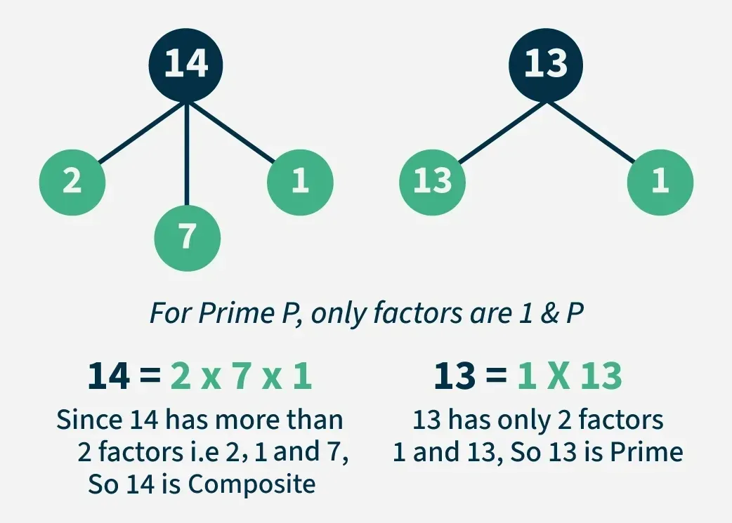 Composite Numbers - GeeksforGeeks