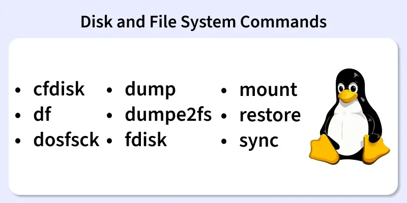 Disk and File System Commands in Linux - GeeksforGeeks