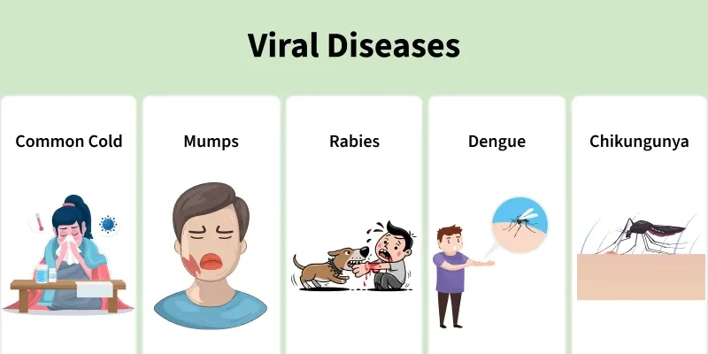 Common Diseases In Humans - GeeksforGeeks