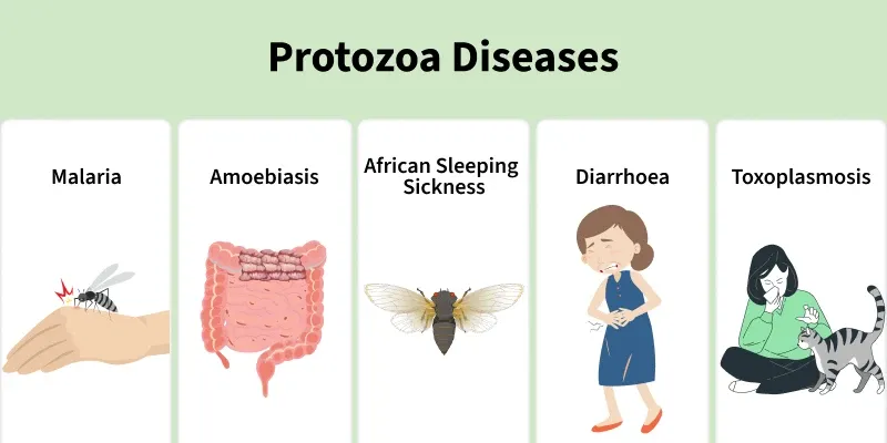 Common Diseases In Humans - GeeksforGeeks