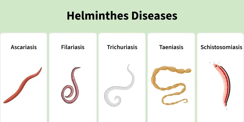 Common Diseases In Humans - GeeksforGeeks