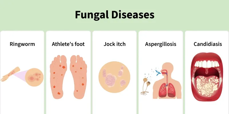 Common Diseases In Humans - GeeksforGeeks