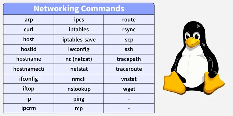 Networking Commands in Linux - GeeksforGeeks