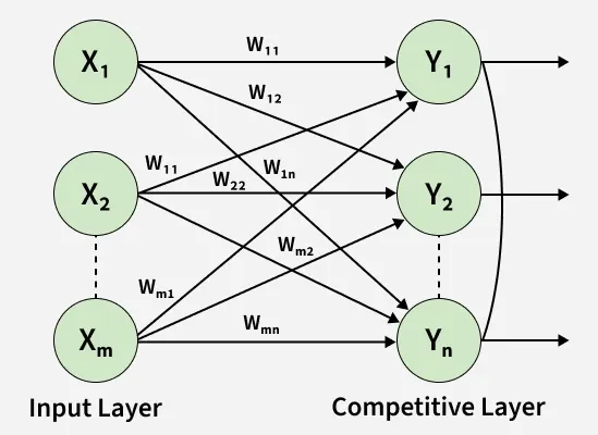 Architecture and Learning process in neural network - GeeksforGeeks