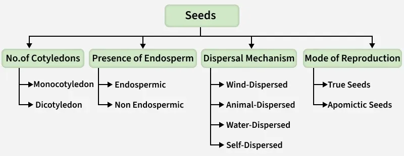Seed - GeeksforGeeks