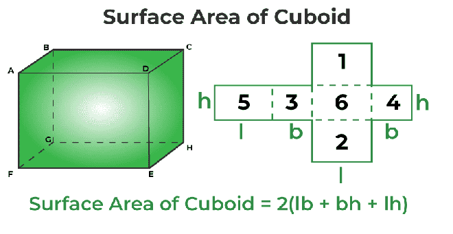 Introduction to Surface Areas and Volumes - GeeksforGeeks