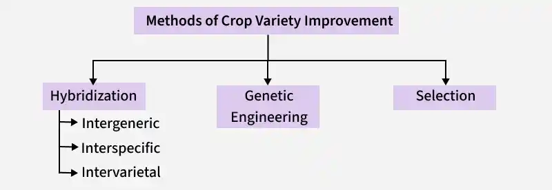Improvement in Crop Yields - GeeksforGeeks
