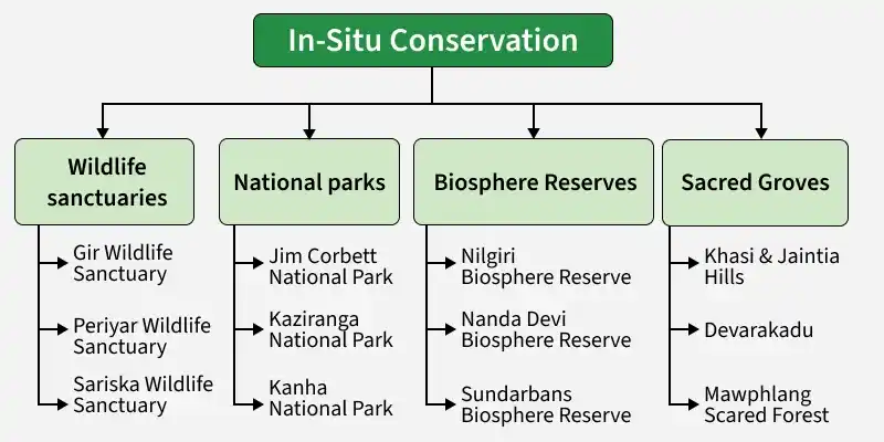 In-Situ and Ex-Situ Conservation of Biodiversity - GeeksforGeeks