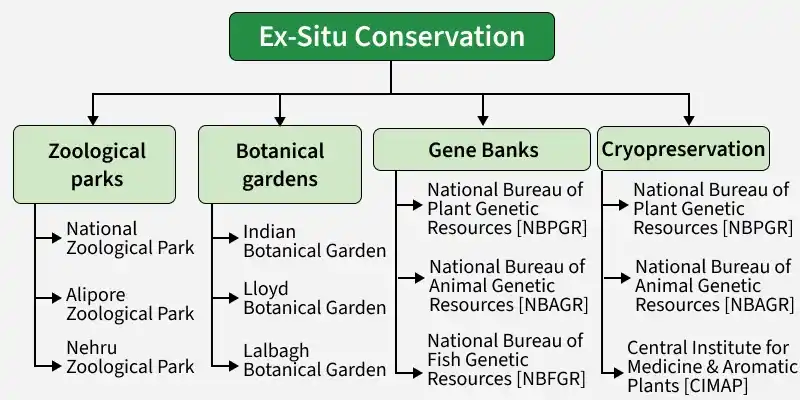 In-Situ and Ex-Situ Conservation of Biodiversity - GeeksforGeeks