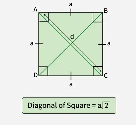 Square in Maths - Area, Perimeter, Examples & Applications - GeeksforGeeks