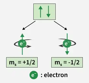 Quantum Numbers - GeeksforGeeks