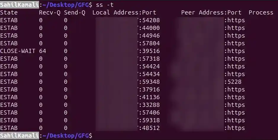 ss command in linux - GeeksforGeeks