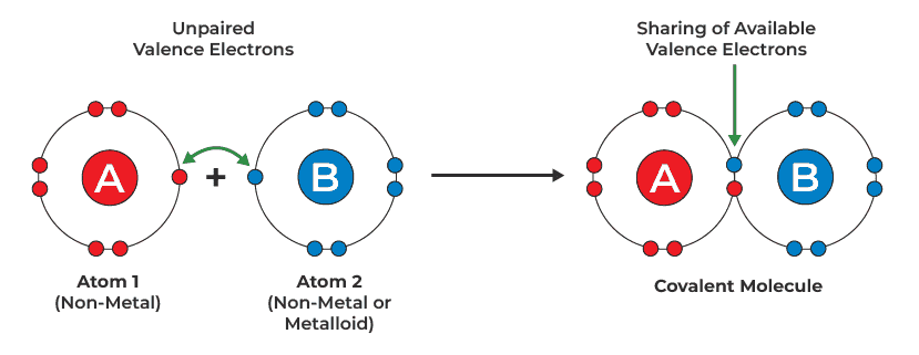 Covalent Bond - GeeksforGeeks
