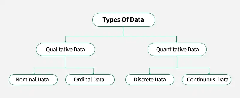 Data Types in Statistics - GeeksforGeeks