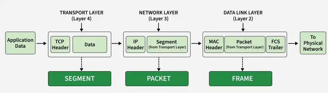 Difference Between Segments, Packets and Frames - GeeksforGeeks
